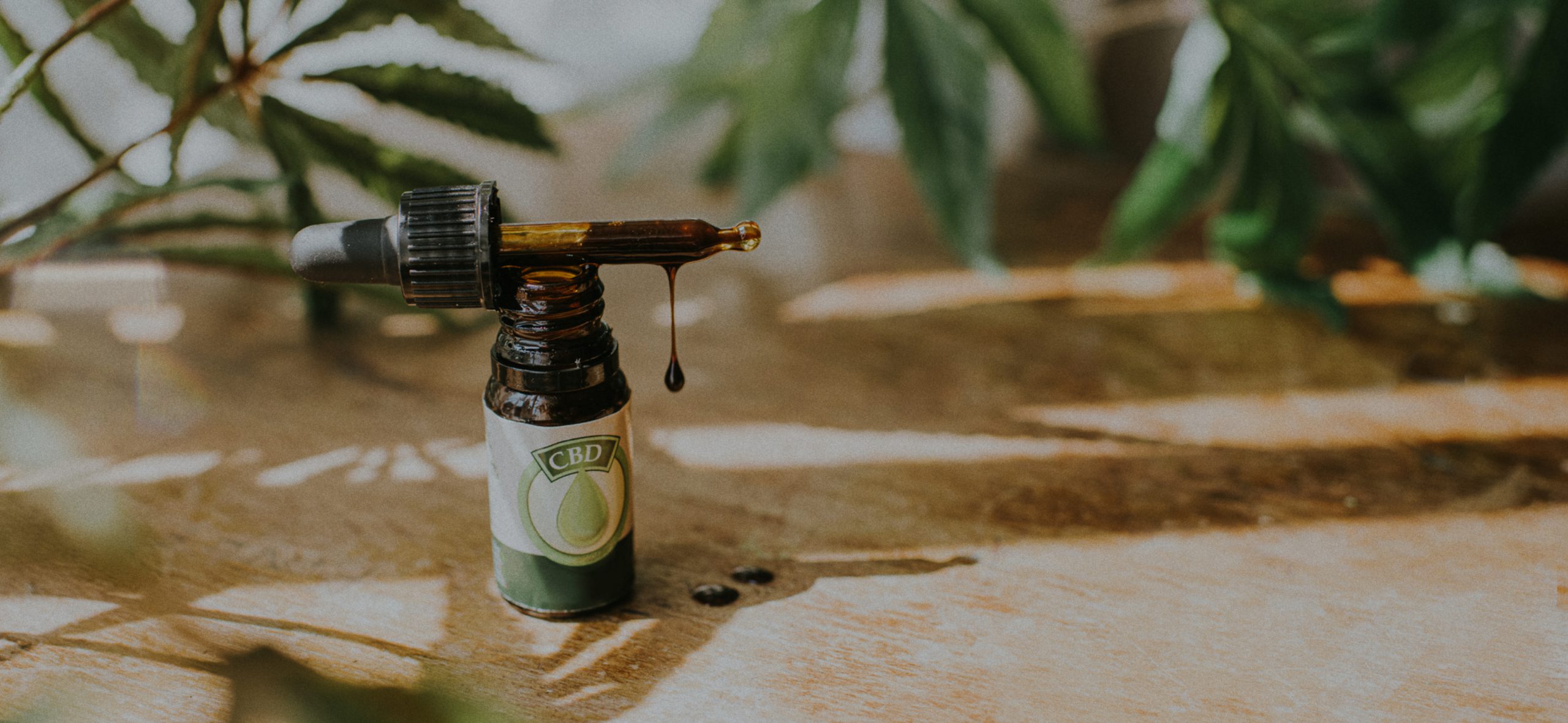 Navigating Medical Cannabis Is Continuing Challenge in Hospice and ...